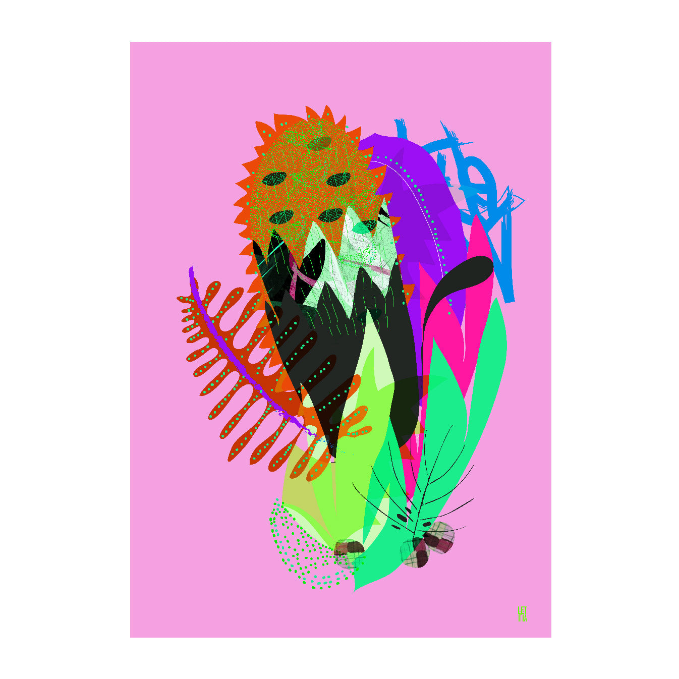 Letitia Green - Visual Artist - Illustration - Photography - Australia ...